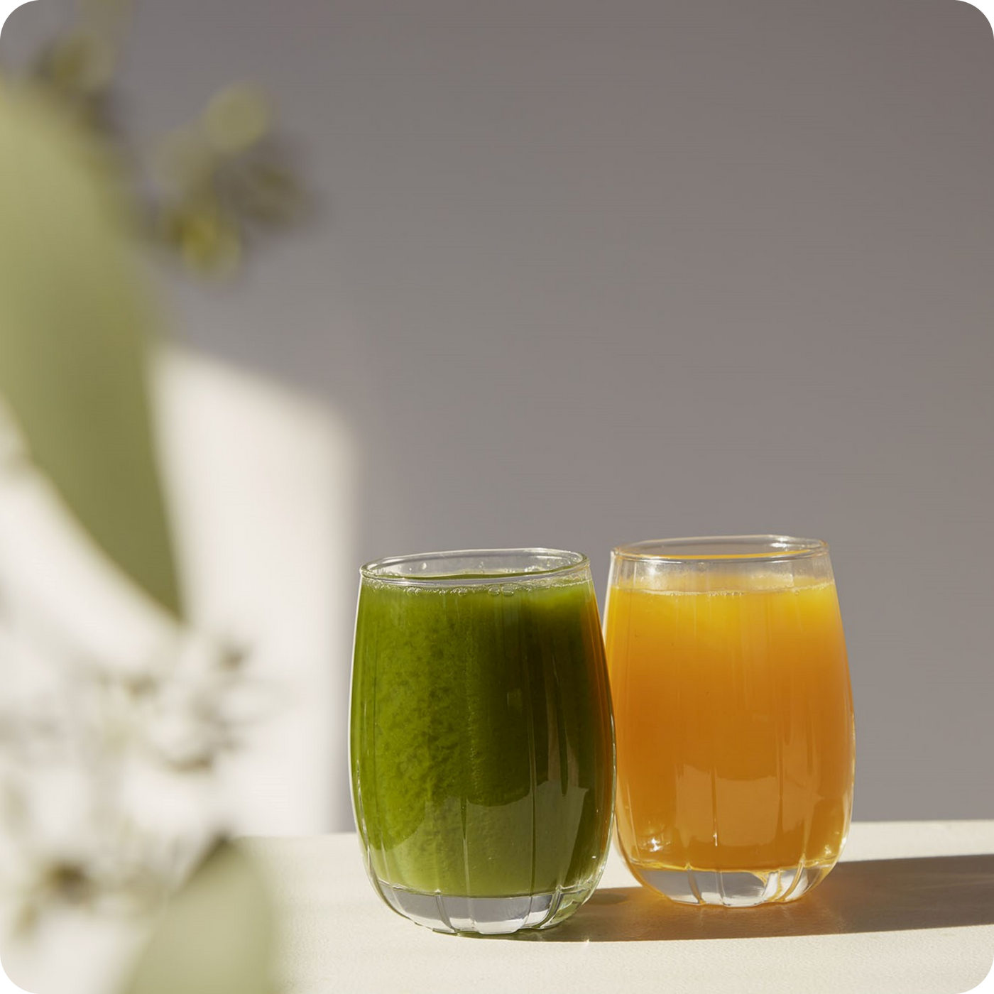 Juice Card Collection